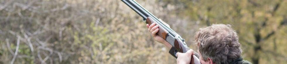 Illegal Discharge Of A Firearm & Arizona Shannon’s Law